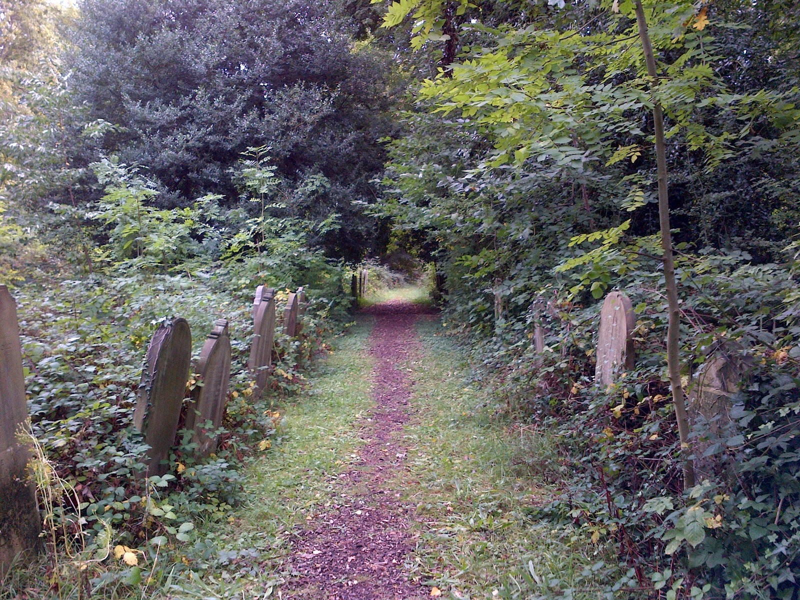 Brockley Central: Greenspaces: Brockley and Ladywell Cemeteries | The ...